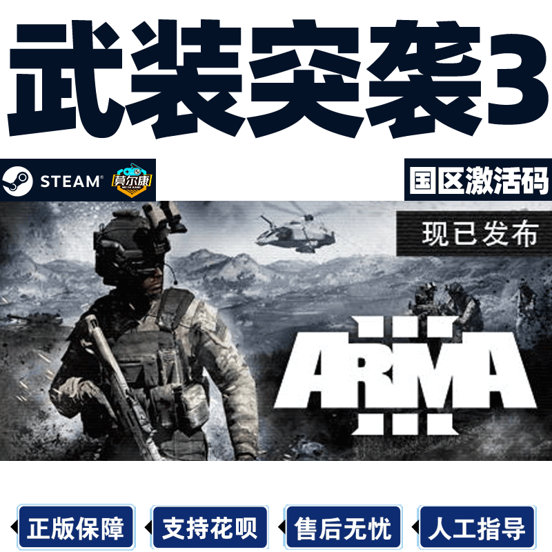 pc正版steam游戏武装突袭3