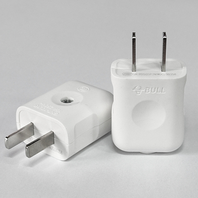 原装公牛正品2两脚插头10L1G