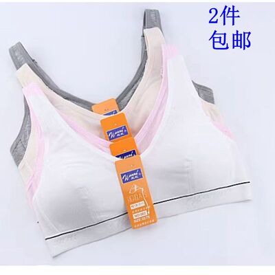 纯棉无海绵学生运动风少女内衣