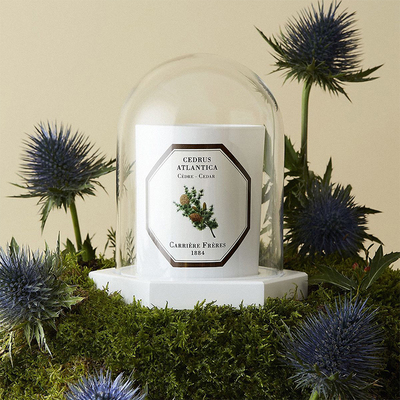 CarriereFreres防尘玻璃罩