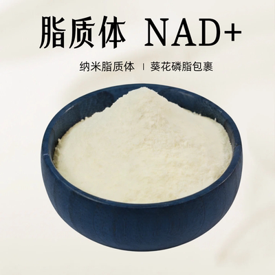 脂质体NAD+全酶法4.0原粉原料