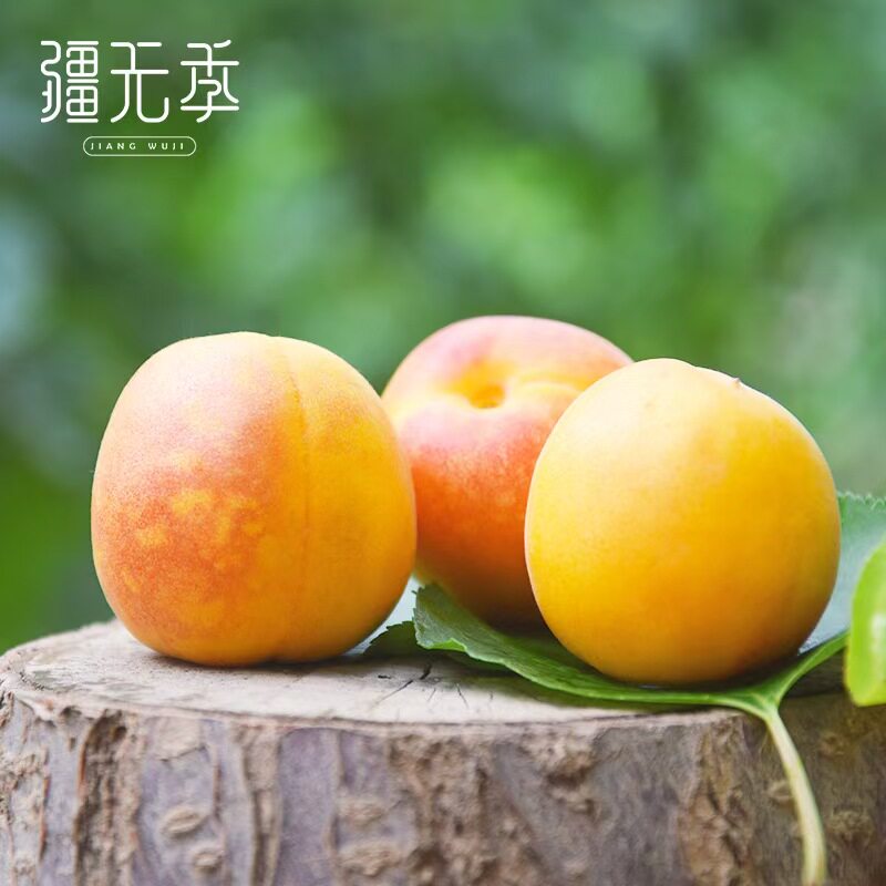 萨力娅 新疆阿克苏小红杏胭脂杏自然不催熟软香浓甜礼盒3斤顺丰