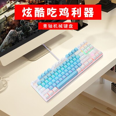 炫彩USB有线机械键盘青轴87键