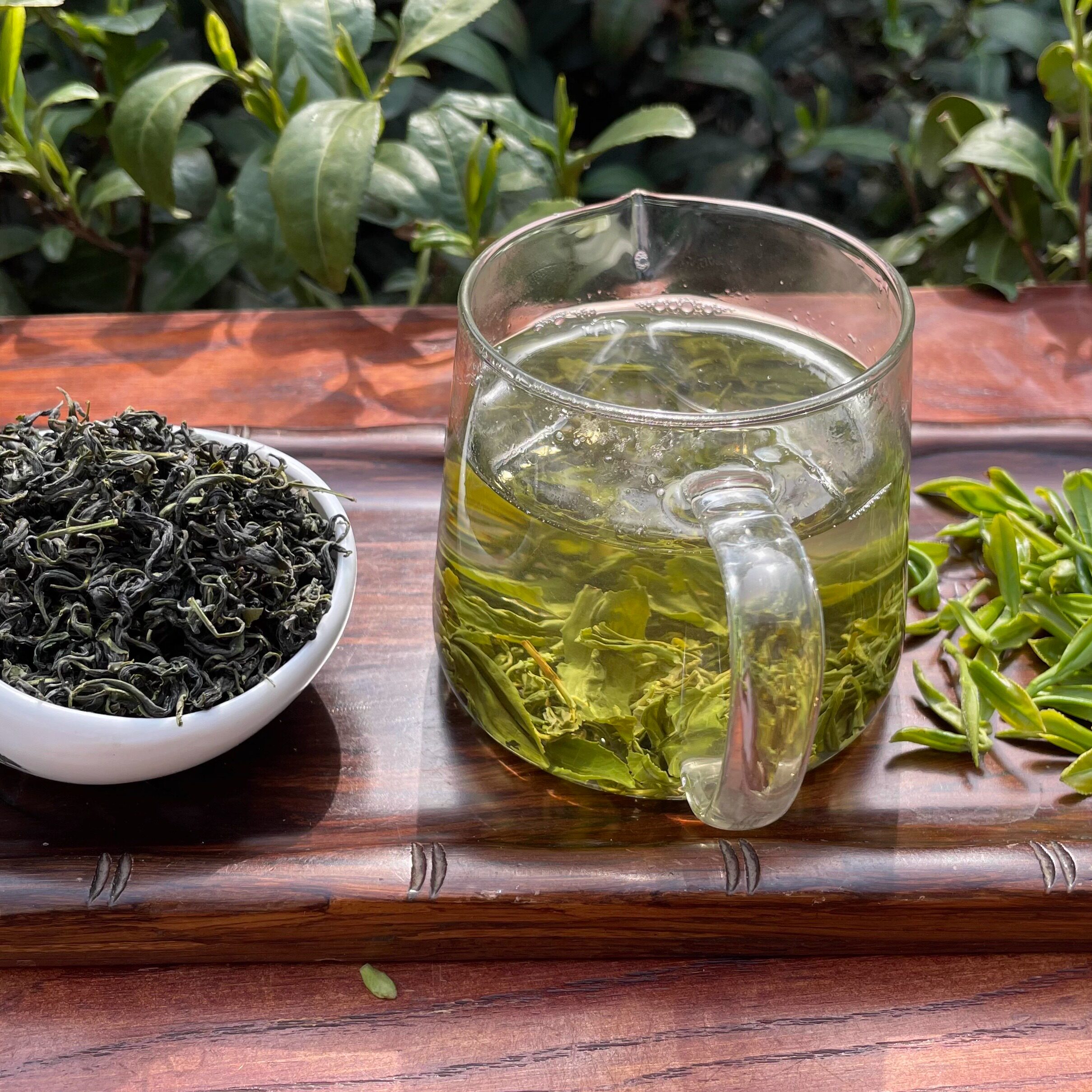 日照绿茶 正宗老味道 口感面嘟嘟 板栗香浓郁 粗壮紧实 叶片肥厚