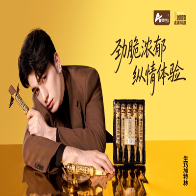 奥雪中国18度冷冻网红经典巧克力