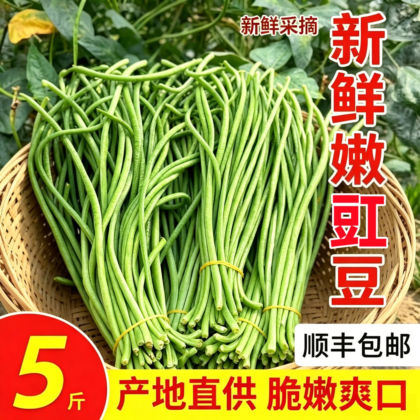 顺丰新鲜豇豆角翠绿爽脆苏北农家自种长豆角江苏蔬菜做泡菜酸豆角