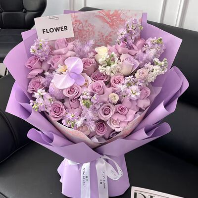 肇庆端州鼎湖高要区四会广宁怀集