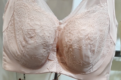 安娜蚕蛹蛋白文胸CD薄棉杯软钢圈内衣大胸显小调整侧收上托25122