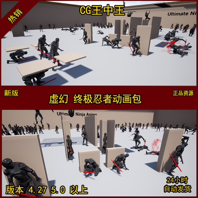 虚幻4 UE4 虚幻5 UE5 忍者 刺杀 暗杀 攻击 移动 待机 284+动画包