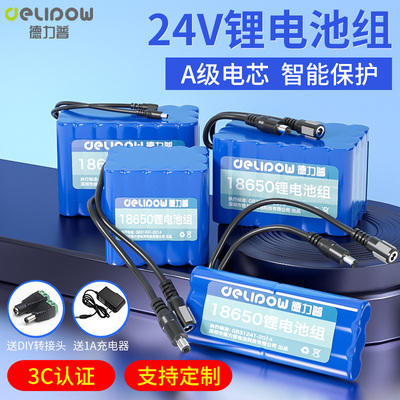 德力普24v电池组大容量可定制