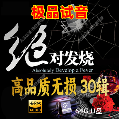 试音极品30辑HiFi无损家用车载发烧男女声母带数播数字转盘音源