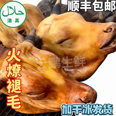 清真新鲜牛头肉整只生冷冻带皮现杀国产整个带骨牛头肉生鲜带牛舌
