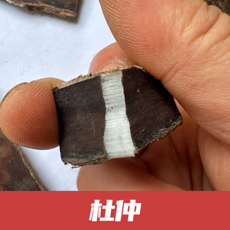 杜仲批发中药材老杜仲皮去老皮杜中