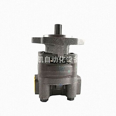 供应Casappa齿轮泵HDP30.51D0-05S3-LMD/MC-N