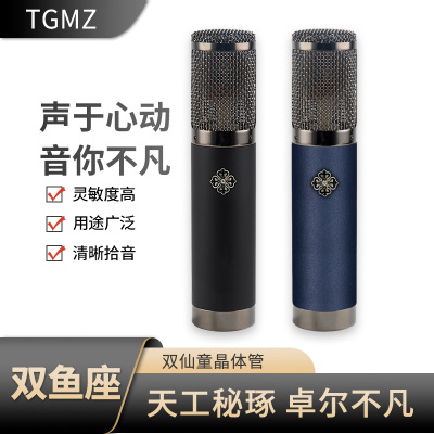 录音棚心型指向电容麦克风