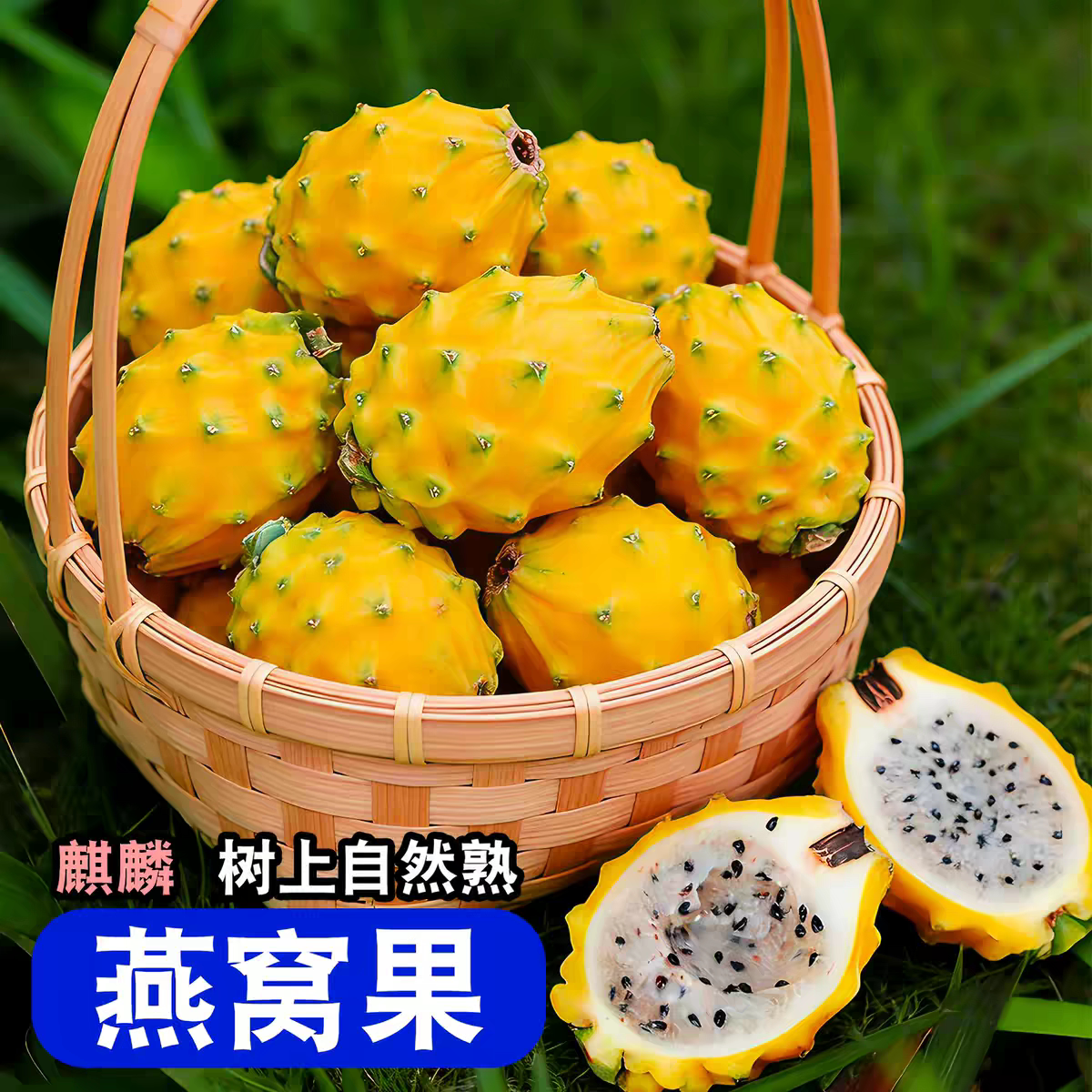 高端燕窝果稀有当季新鲜孕妇营养水果清甜麒麟果热带黄皮火龙果