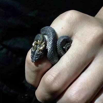 Vintage Charm Horned Snake Ring For Man Woman Aesthetic Punk