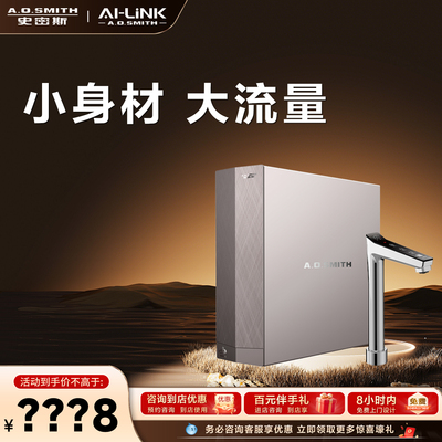 史密斯能出开水净水机DR1600SS12