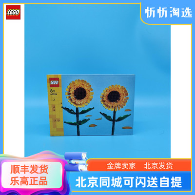 城市系列飞机积木玩具