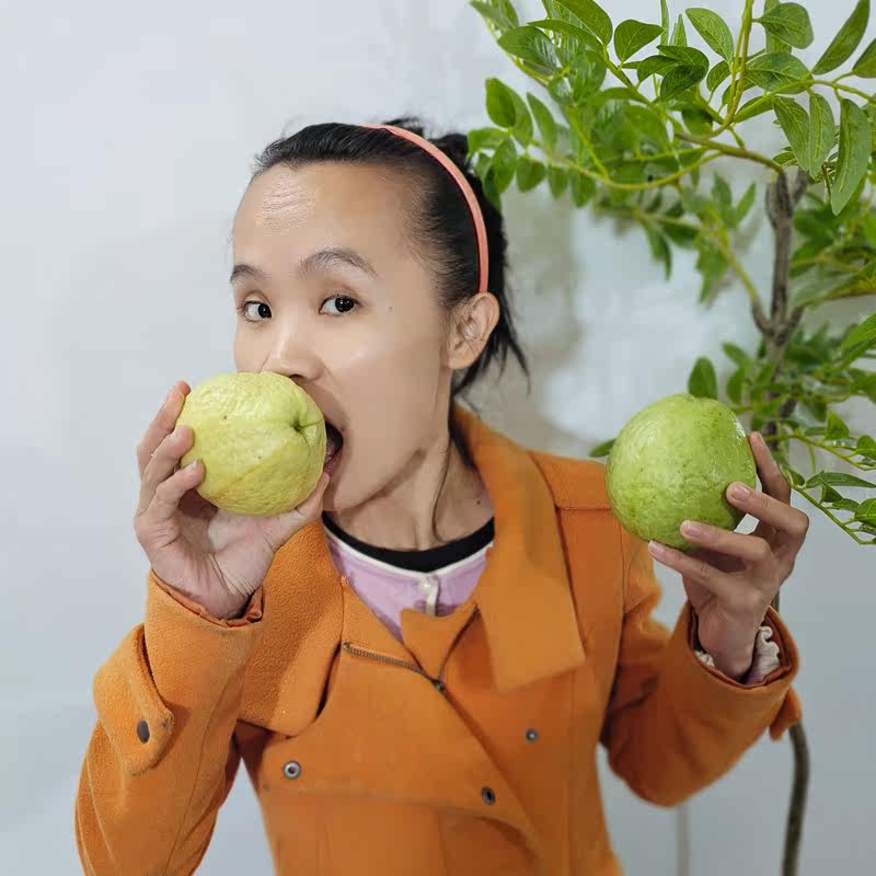 芭乐白心 好吃当季台湾番石榴 新鲜水果现摘现发 香脆甜孕妇 迈润