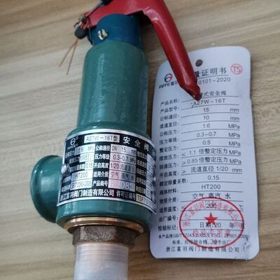 服装厂锅炉安全阀DN154分