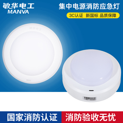 敏华A型36V集电集控消防应急灯