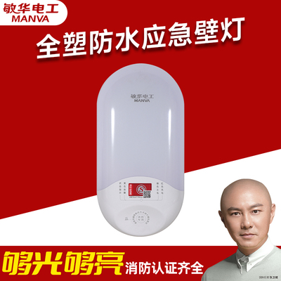 敏华IP67防水应急壁灯6W220V电压