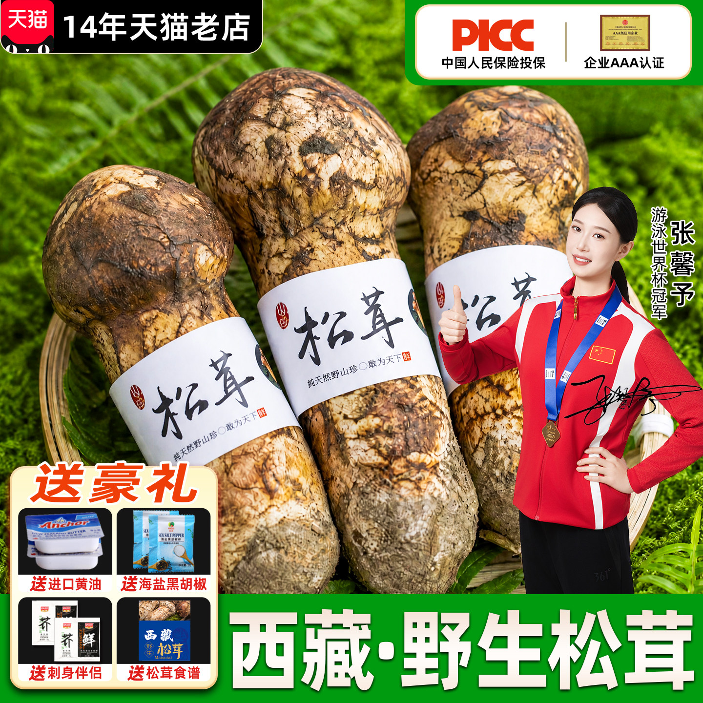 西藏新鲜松茸野生林芝松茸菌菇未开伞礼盒装松菌非8~10cm鲜松茸
