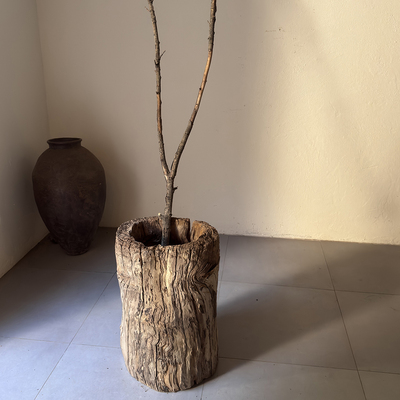 侘寂风茶空间装饰古旧老物件收藏摆件古董老木桶装饰摆件26125