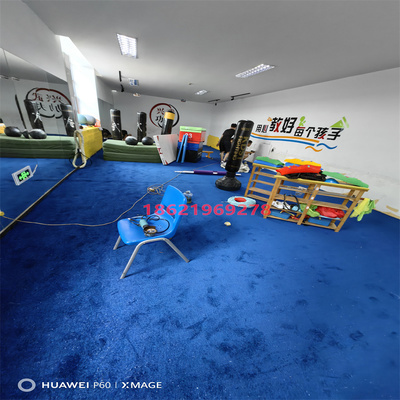 蓝色武术馆地毯卧室会议室录音棚剧院直播间健身房簇绒地毯 15MM