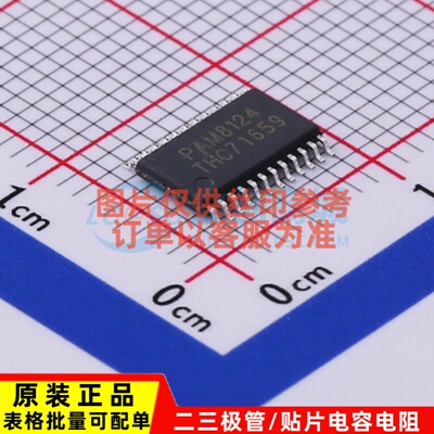 音频功率放大器 PAM8124RHR TSSOP-24 DIODES(美台) 电子元件配单
