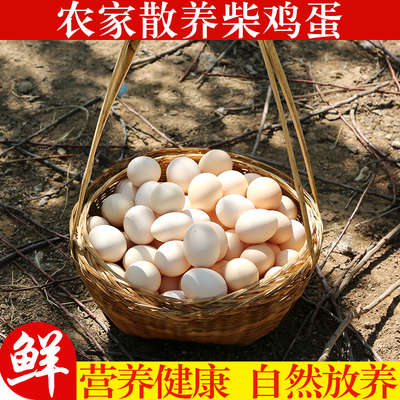 密水农家农家散养鸡蛋笨鸡蛋柴鸡蛋正宗新鲜草鸡蛋/1枚破损包赔