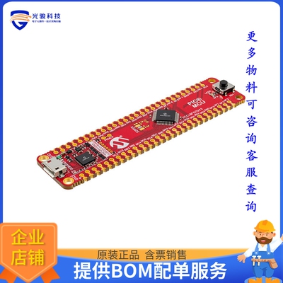 DM320119【SAMD21 CURIOSITY NANO BRD】嵌入式MCU、DSP评估板