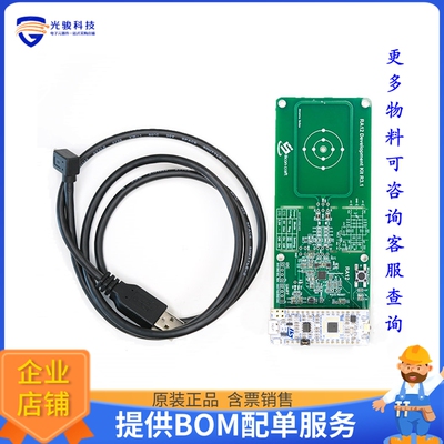 PI6BK200M10S112B1CB[RA12 DEVKIT]评估板