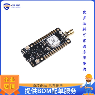 113990939[WIO-E5 MINI DEV BRD STM32WLE5JC]评估板
