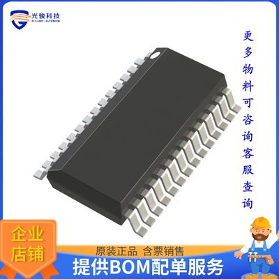 PGA2500IDB《线性芯片IC AMP CLASS AB MONO 28SSOP》