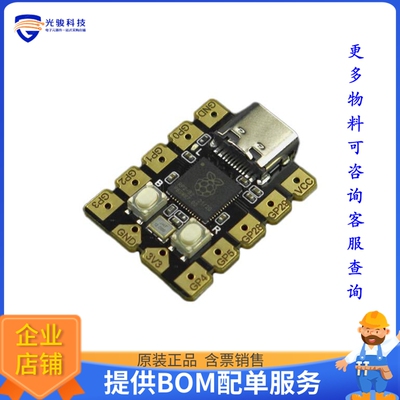 DFR0959[BEETLE RP2040 MINI EVAL BRD]评估板