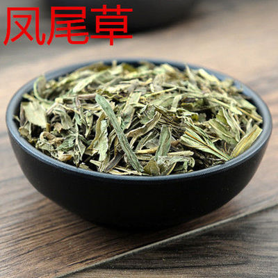 筛选凤尾草 新鲜干凤凰草 阉鸡尾金鸡尾凤尾蕨金鸡爪