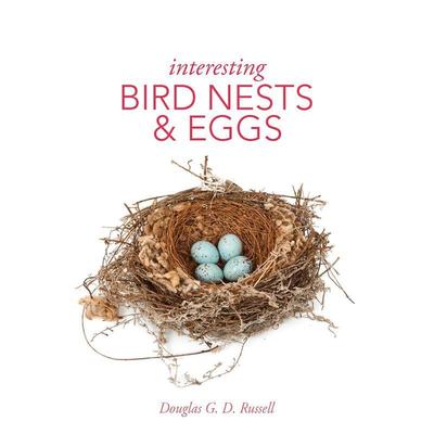 【预售】有趣的鸟巢和鸟蛋 Interesting Bird Nests and Eggs 原版英文摄影作品集