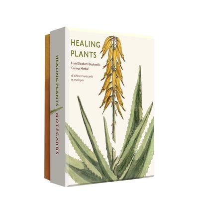 【预售】治愈植物详细记事卡套装 Healing Plants Detailed Notecard Set 原版英文艺术画册画集图书