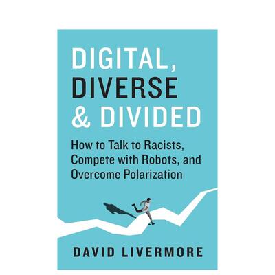【预售】数字化、多样化和分散化 Digital  Diverse & Divided 原版英文商业行销 进口图书