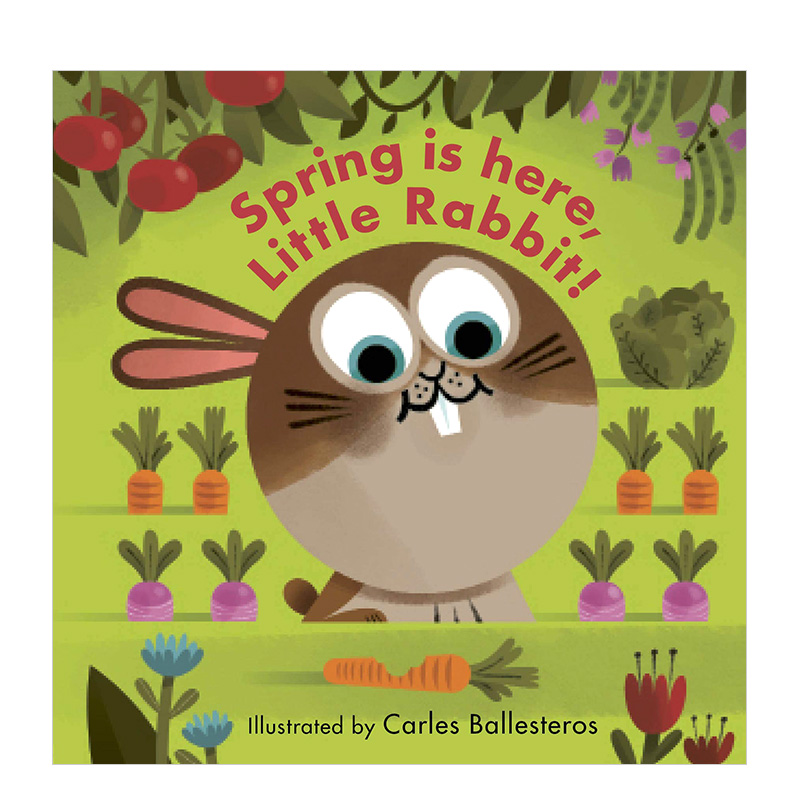 【现货】【小小动物面孔】春天就在这里，小兔子！Spring Is Here, Little Rabbit! 0-3岁儿童触摸纸板绘本英文原版书籍进口_虎窝淘