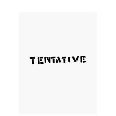 【预售】试验 - Richard Tuttle/Alexander Calder Calder/Tuttle:Tentative 原版英文艺术画册画集 进口图书