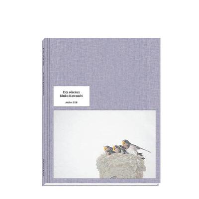 【现货】【川内伦子】鸟类(英文版） Des oiseaux Rinko Kawauchi 原版法文摄影图书