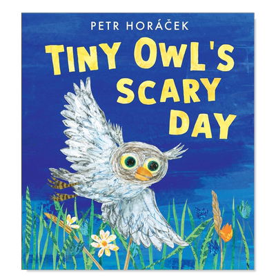 小猫头鹰的恐怖日TinyOwl'sS