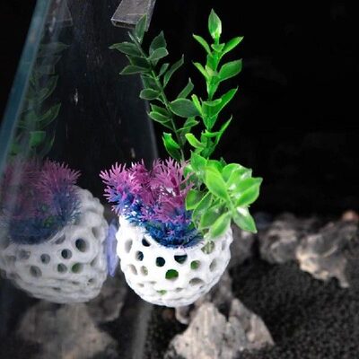 C9GCAquariumsHideoutS