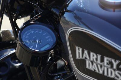 复古哈雷 sportster 883/1200/48專用下移表架配