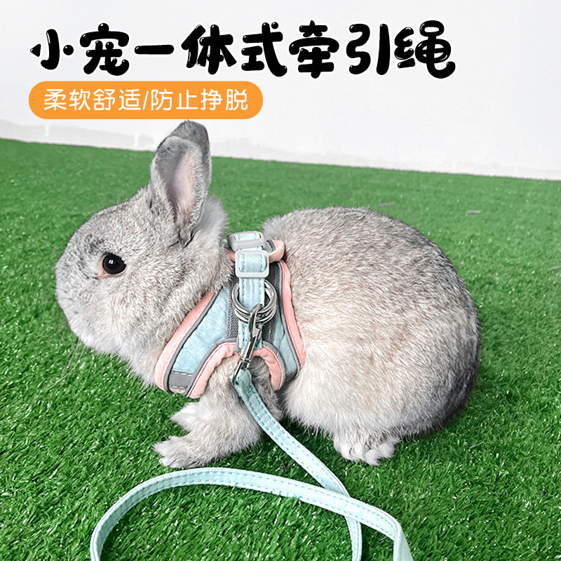 兔子外出牵引绳溜兔子可调节防挣脱带反光条专用防咬可爱风溜兔绳