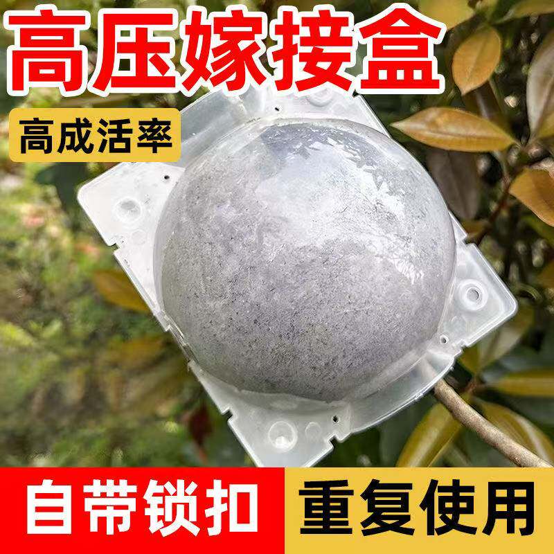 高压嫁接盒月季扦插生根繁殖器果树植物控根器生根盒高压育苗盒子