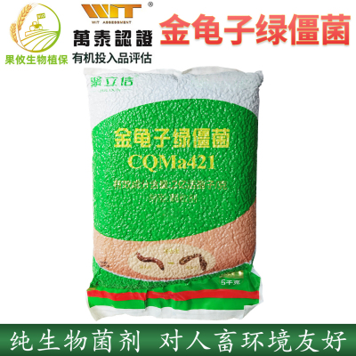 聚立信金龟子绿僵菌CQMa421